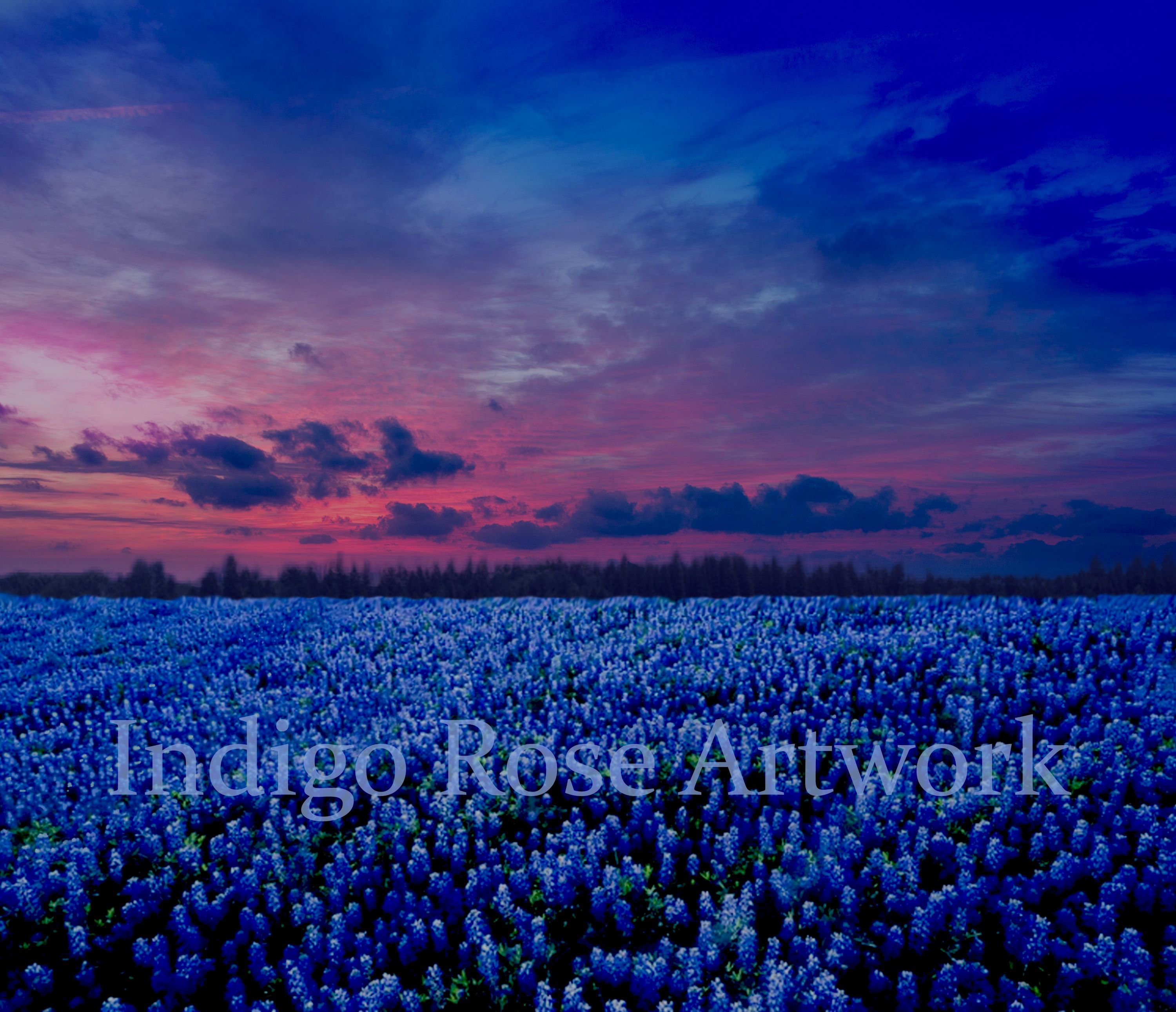 Bluebonnet Background, Spring Background, Summer Background, Flower ...
