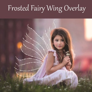 Magical Fairy Wing Overlays, Angel Wing Overlays, Photoshop Overlays ...