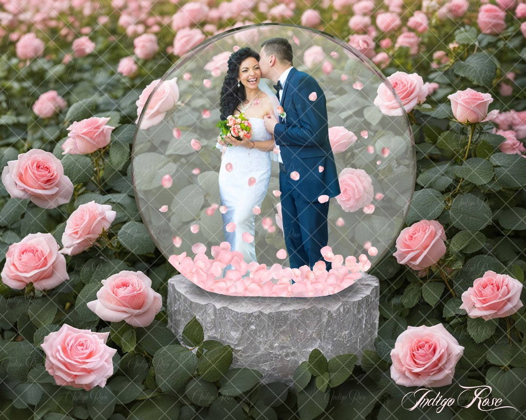 Pink Roses Digital Background, Gazing Ball, Rose Petal Overlay ...
