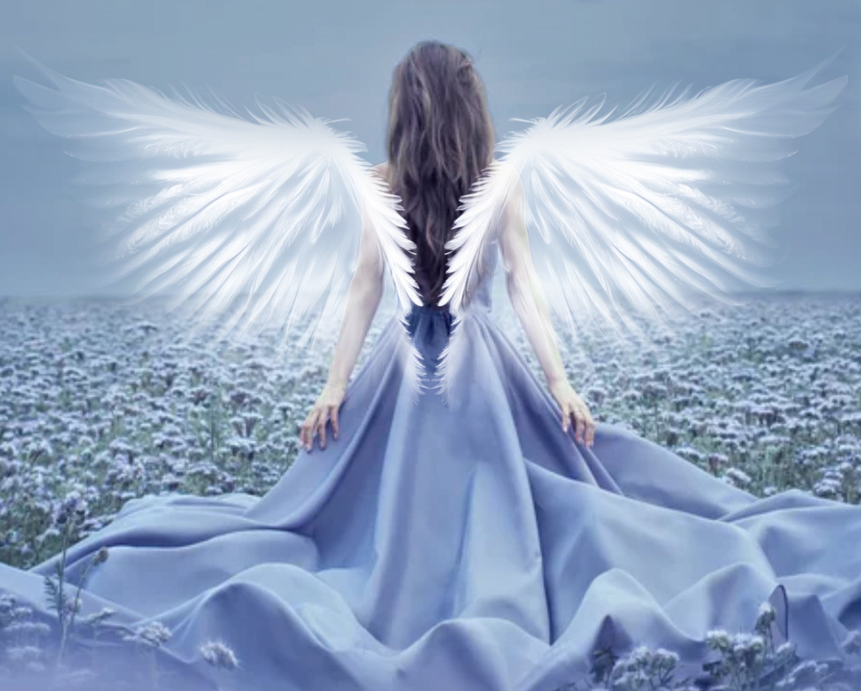 Angel Wing Overlays, Fairy Wing Overlays, Bridal Overlays, Maternity ...