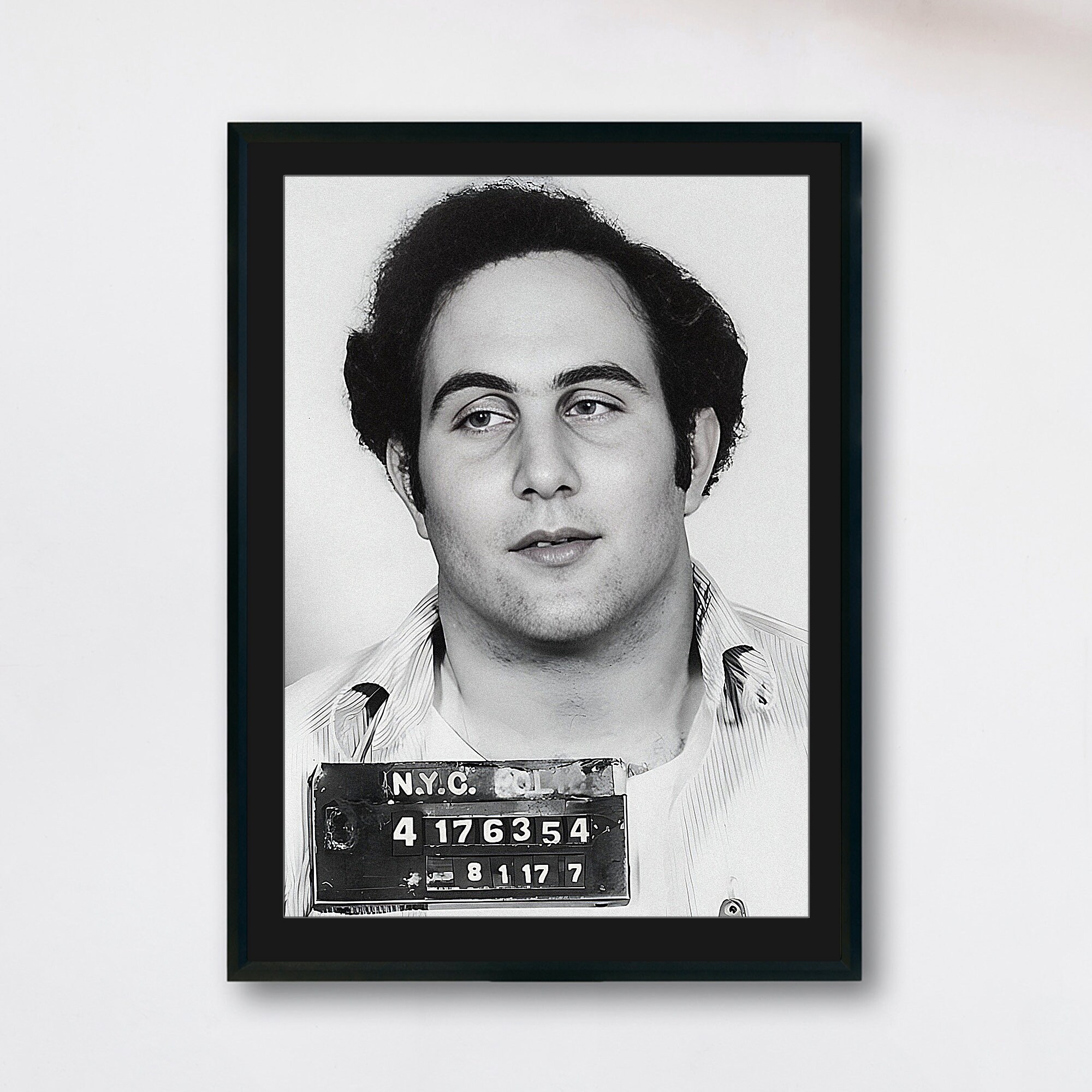 Son of Sam, David Berkowitz 1977 Police Photo, Serial Killer Art Print ...