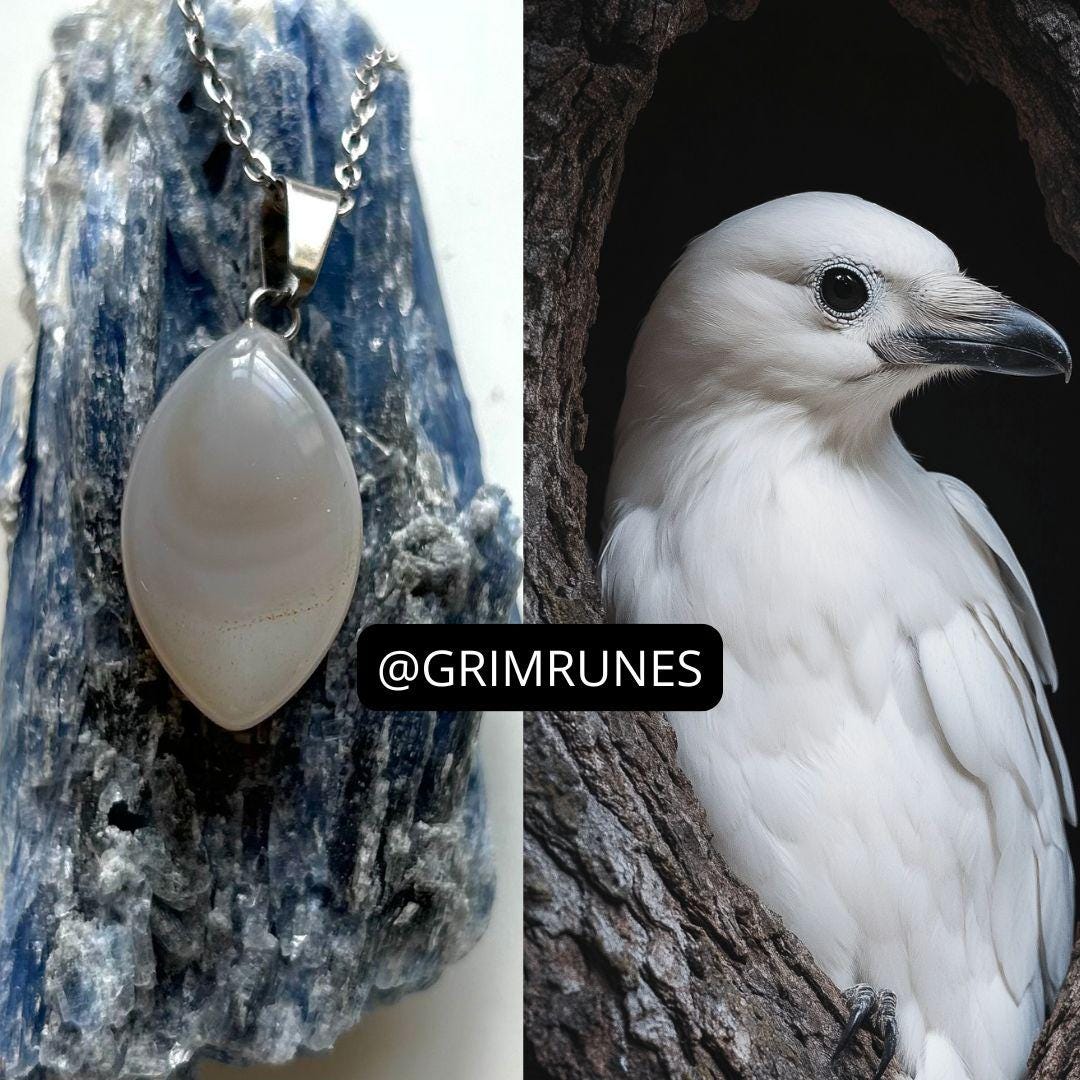 Raven Spirit Companion Raven Spirit Vessel Magic Necklace - Etsy