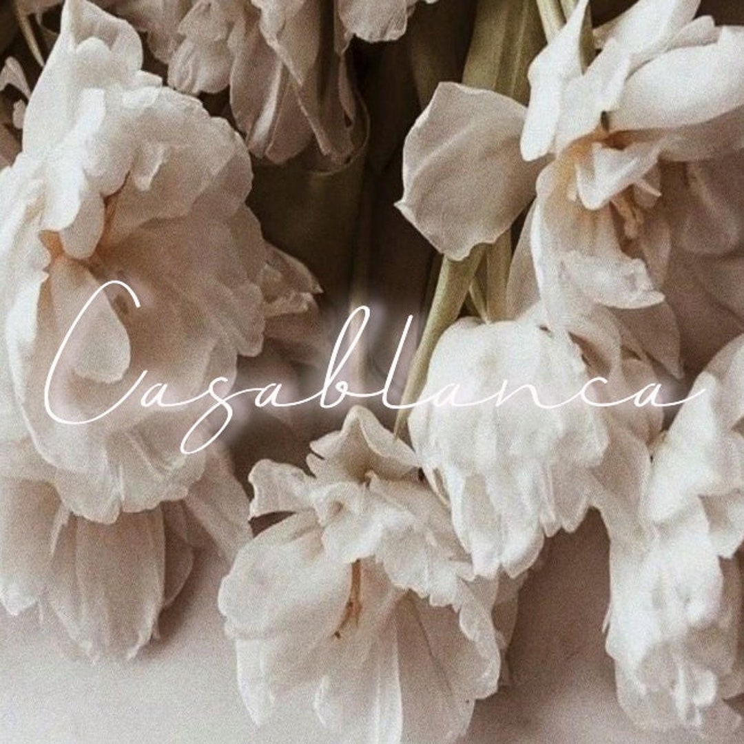 Editable Logo Design Pretty Logo Design Floral Logo Beauty - Etsy