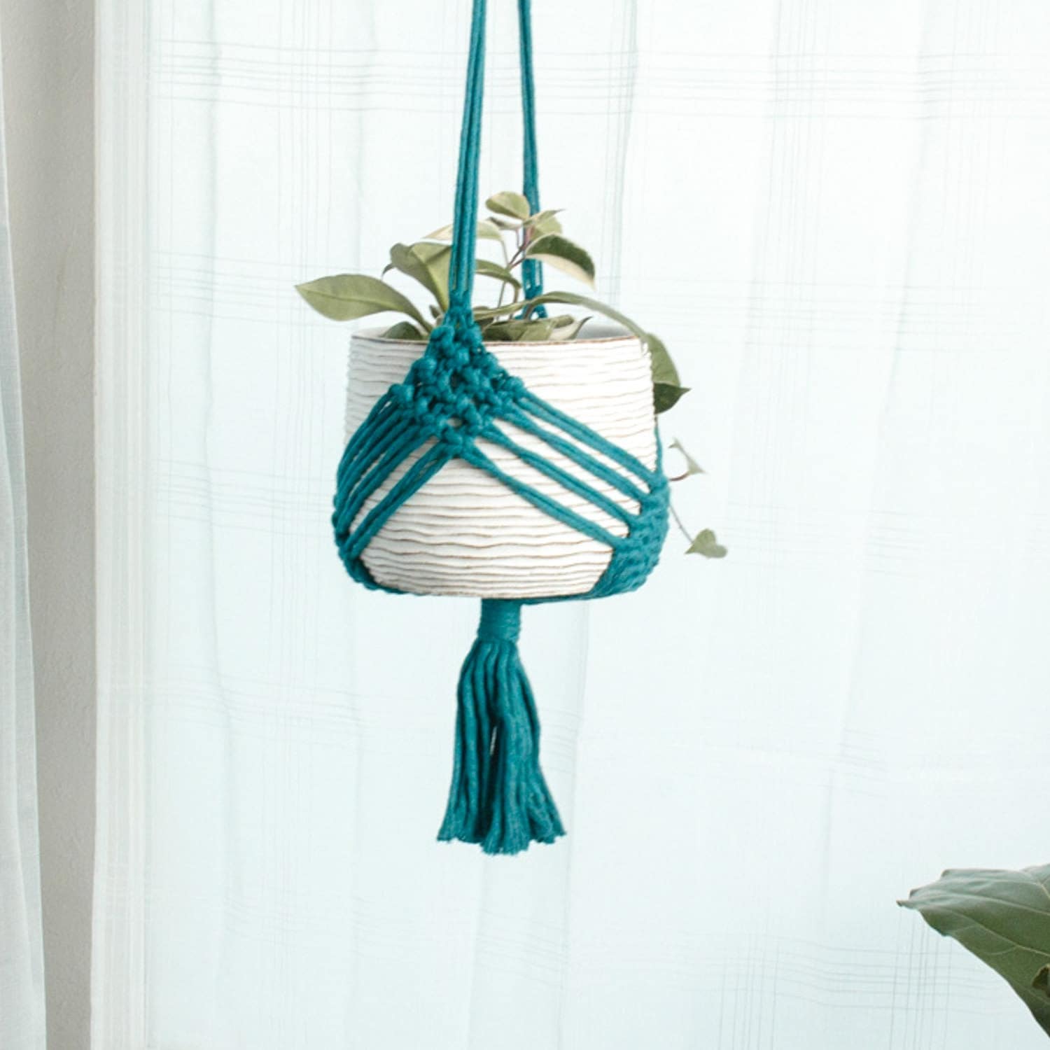 Macrame Plant Hanger, Ceiling Plant Hanger, Hand Made With Customizable ...