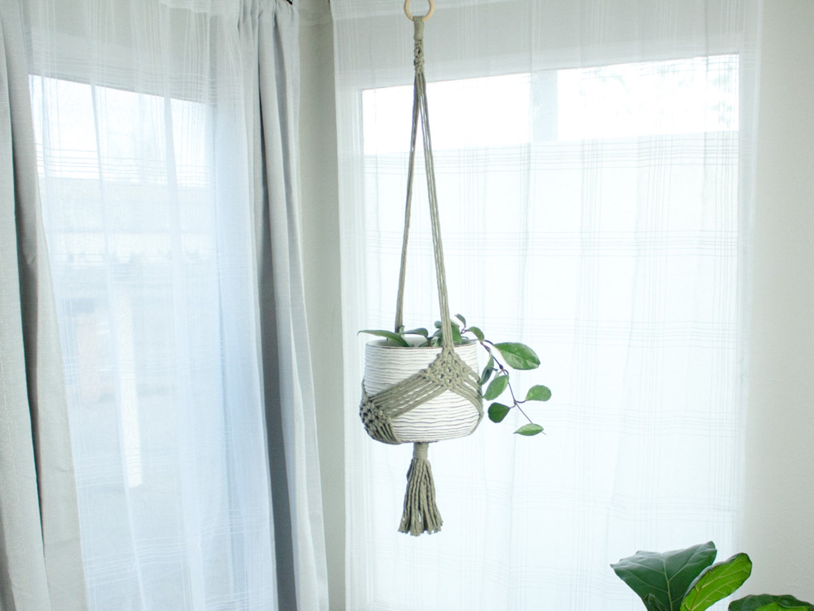 Macrame Plant Hanger, Ceiling Plant Hanger, Hand Made With Customizable ...