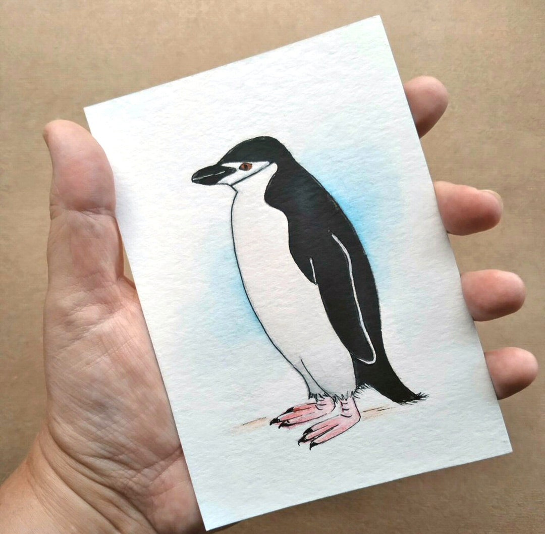 Hand Painted Chinstrap Penguin ACEO Original Art Watercolor With Ink on ...