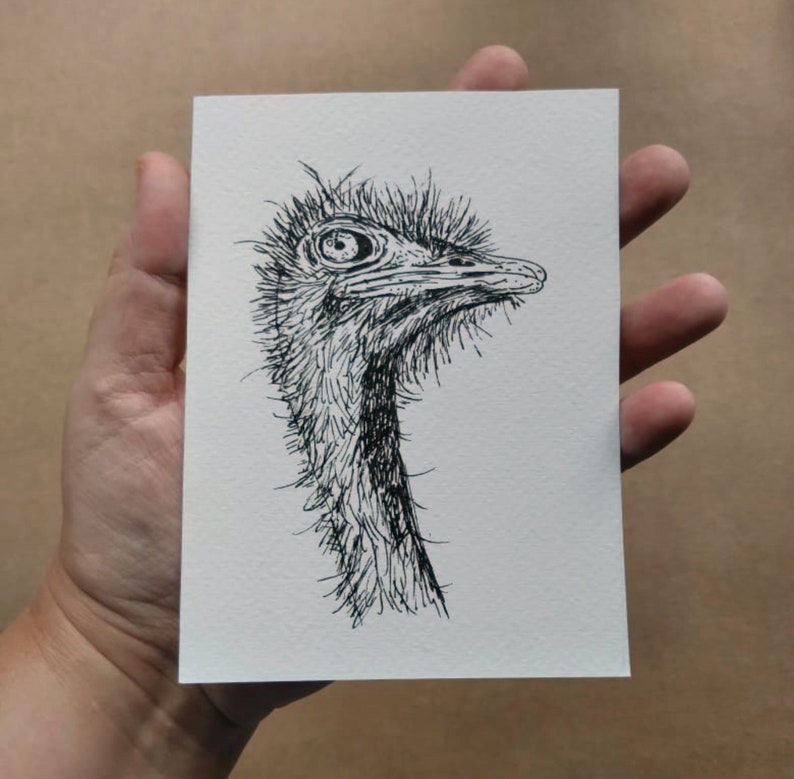 Hand Drawn Ostrich ACEO Original Art Pen Ink Drawing Watercolor Paper ...