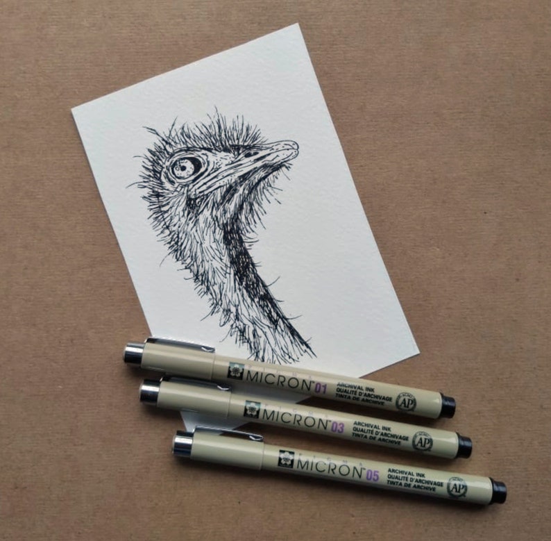 Hand Drawn Ostrich ACEO Original Art Pen Ink Drawing Watercolor Paper ...