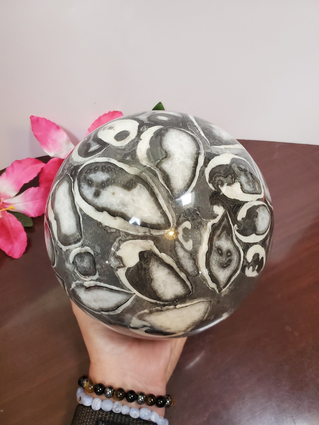 Huge 15lb Miracle Stone Aka Shell Stone Crystal Sphere - Etsy