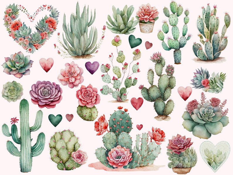 Boho Cactus and Succulent Watercolor Clipart Boho Clipart - Etsy