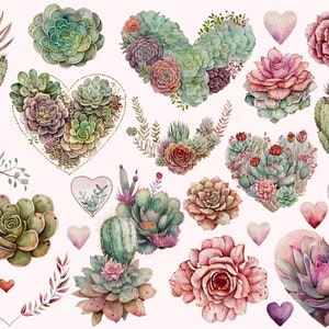 Boho Cactus and Succulent Watercolor Clipart, Boho Clipart, Valentine's ...