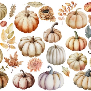 Watercolor Pumpkin and Autumn Gourd Thanksgiving Clipart Collection ...