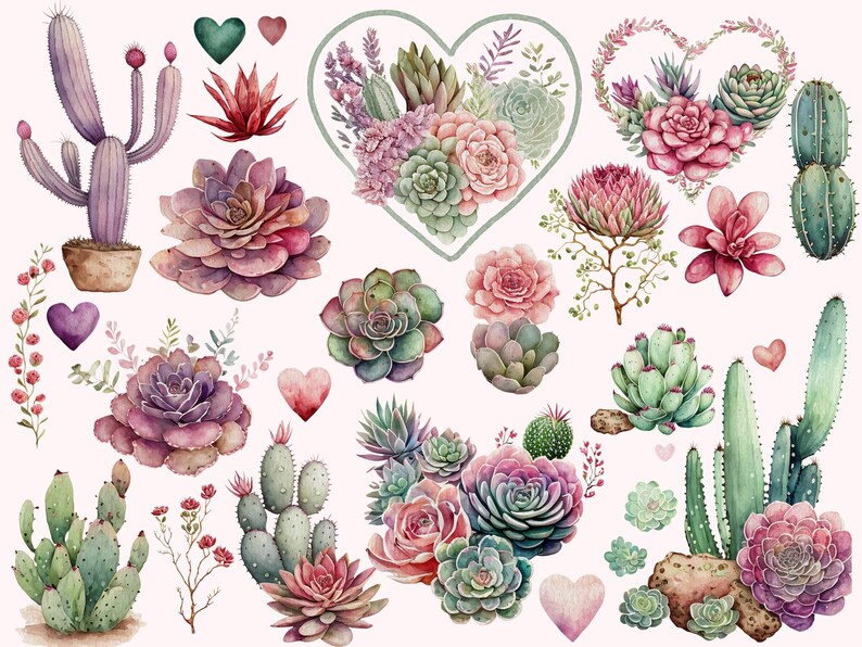 Boho Cactus and Succulent Watercolor Clipart, Boho Clipart, Valentine's ...