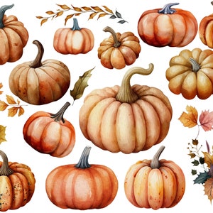 Watercolor Pumpkin and Autumn Gourd Thanksgiving Clipart Collection ...