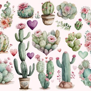 Boho Cactus and Succulent Watercolor Clipart, Boho Clipart, Valentine's ...
