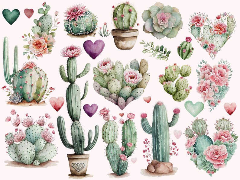 Boho Cactus and Succulent Watercolor Clipart Boho Clipart - Etsy