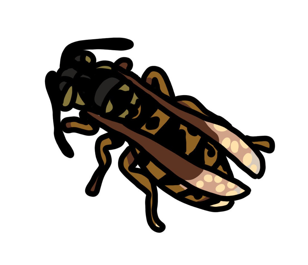 Yellowjacket Clipart. Wasp, Insect, Bug. Digital PNG Image File Clip ...