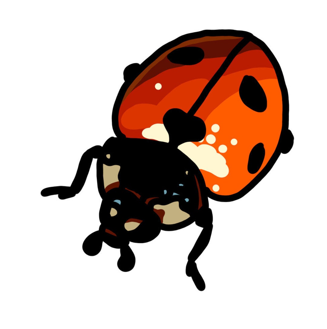 Ladybug Clipart. Red Beetle, Insect, Bug. Digital PNG Image File Clip ...