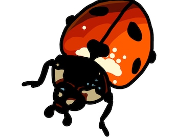 Ladybug Clipart. Beetle, Insect, Bug. Digital PNG Image File Clip Art ...