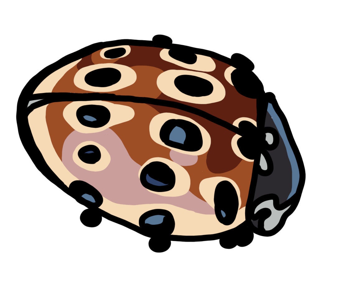 Ladybug Clipart. Beetle, Insect, Bug. Digital PNG Image File Clip Art ...