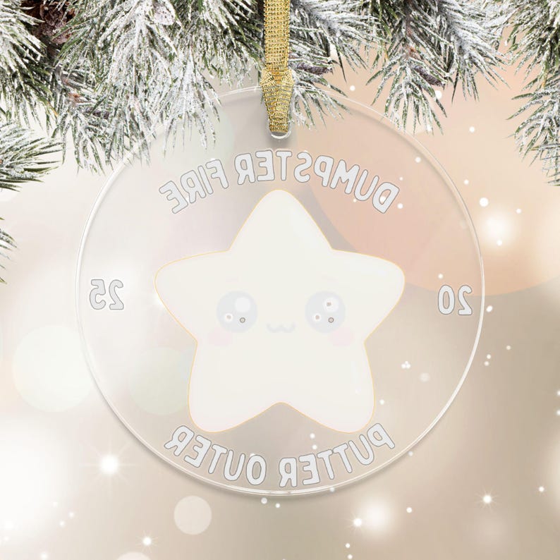 Funny Star Award Ornament, 2025 End of Year Gag Gift, Dumpster Fire ...
