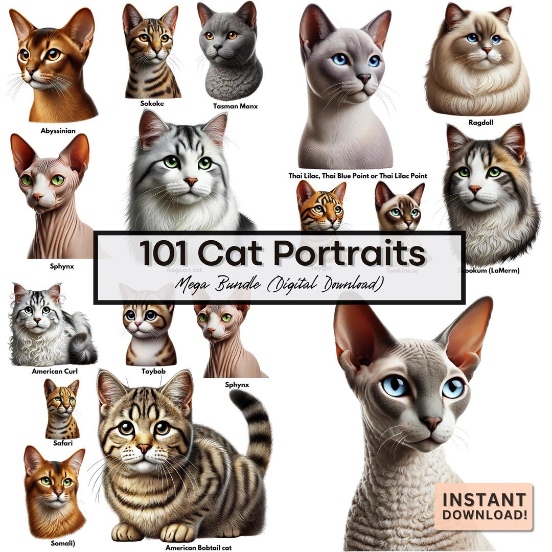 Cats Portrait Digital Download, Kittens Custom Print, Cats PNG ...