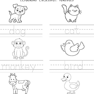Preschool Worksheets Bundle: Letters, Numbers, Shapes, Objects, and ...