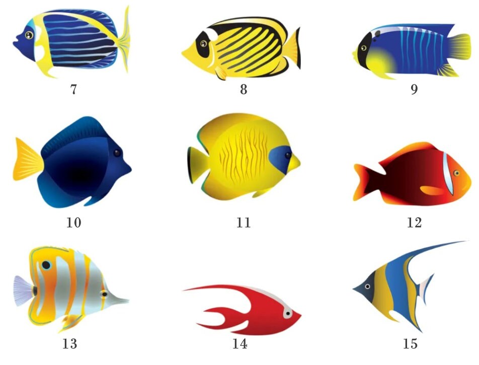 15 Piece Tropical Fishes Coral Reef Stained Glass Pattern. Instant ...