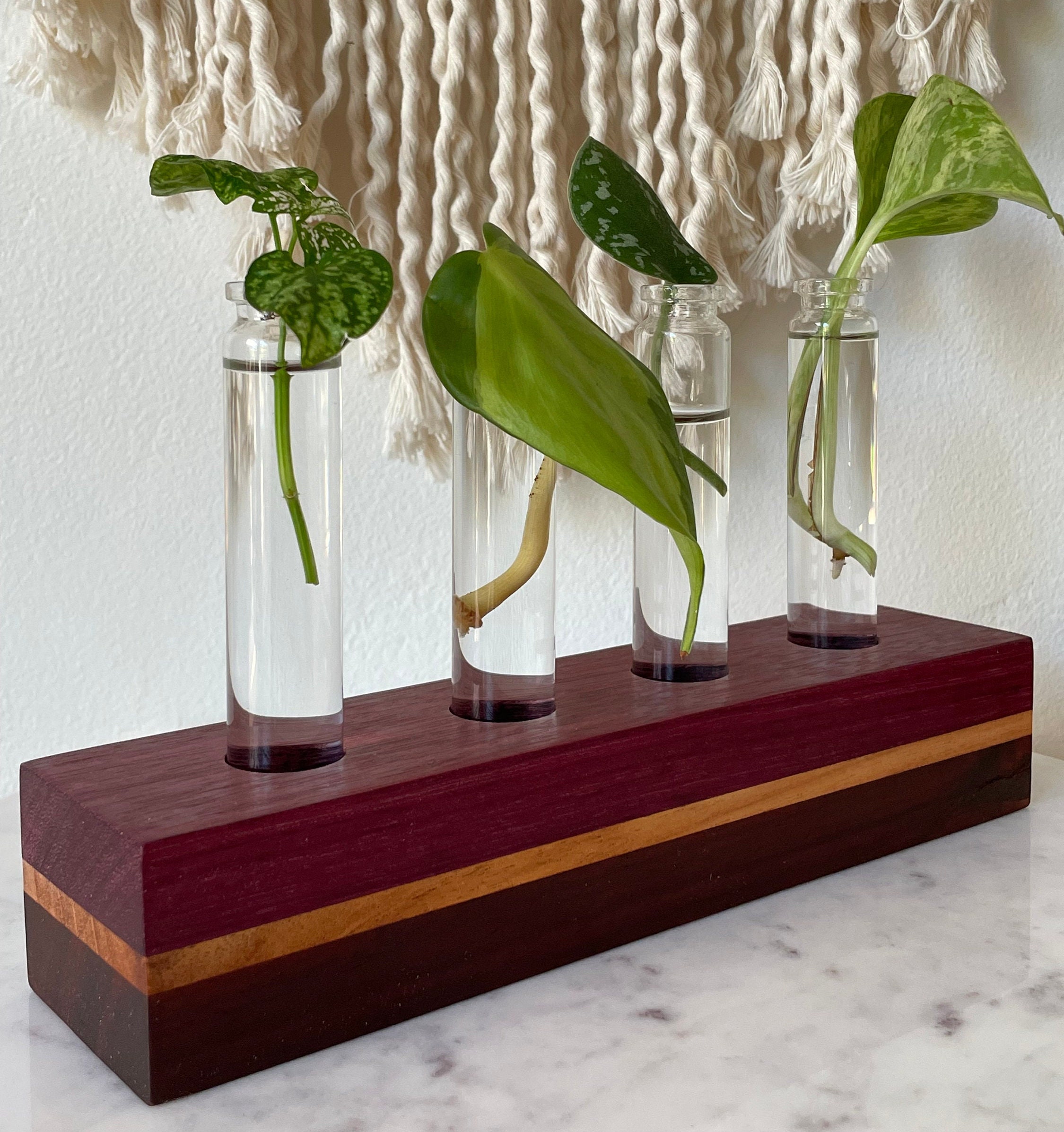 Propagation Station, Propagation Stand, Plant Propagation, Wood Plant ...