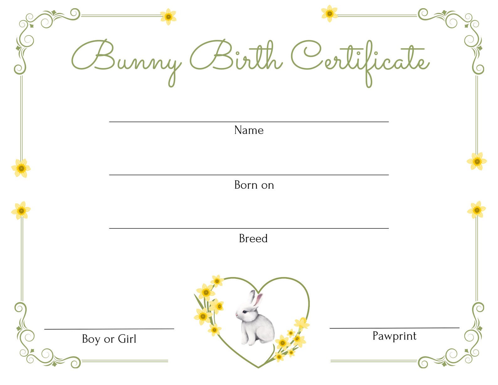 Birth Certificate Rabbit Birth Certificate Yellow - Etsy