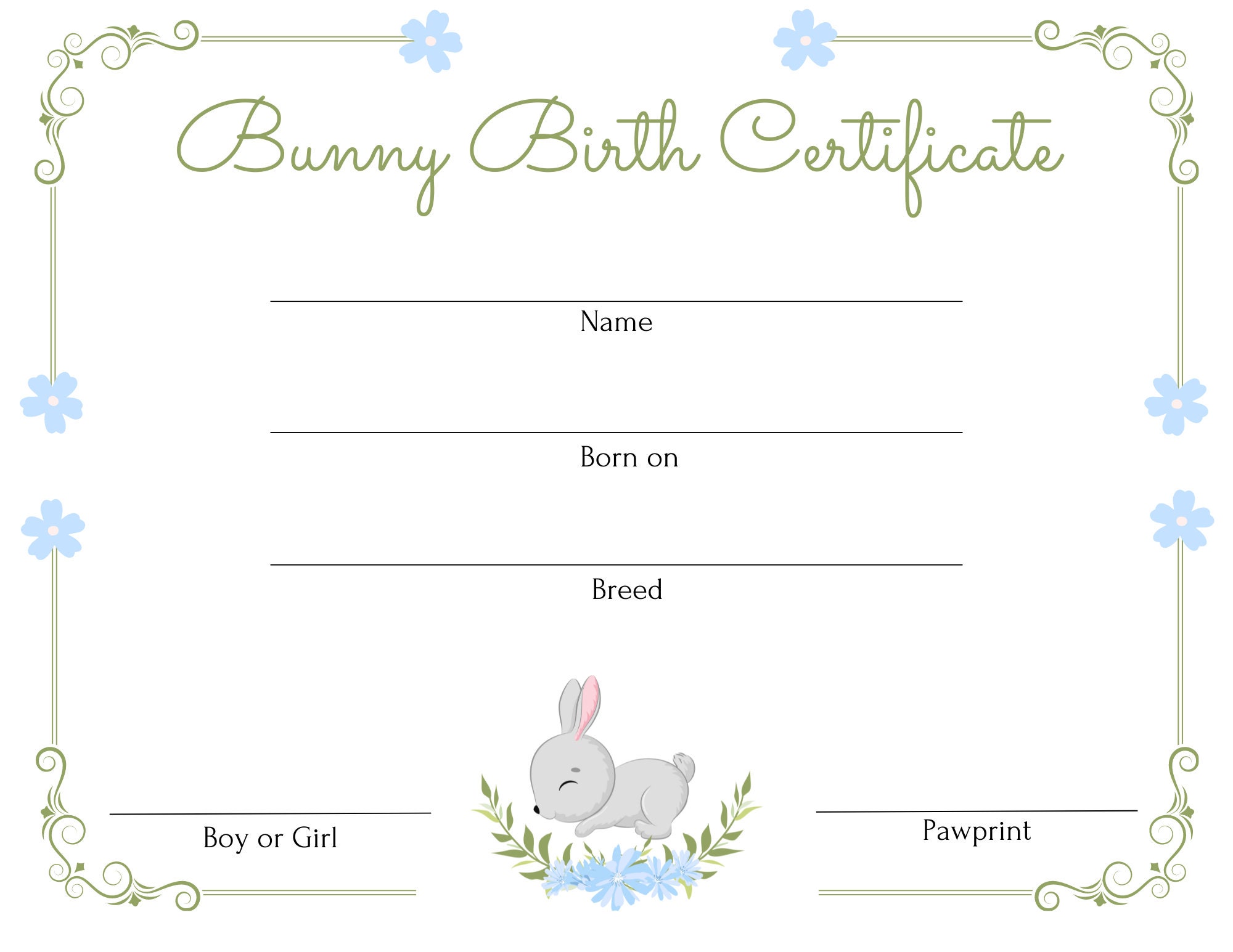 Birth Certificate Rabbit Birth Certificate Light Blue - Etsy
