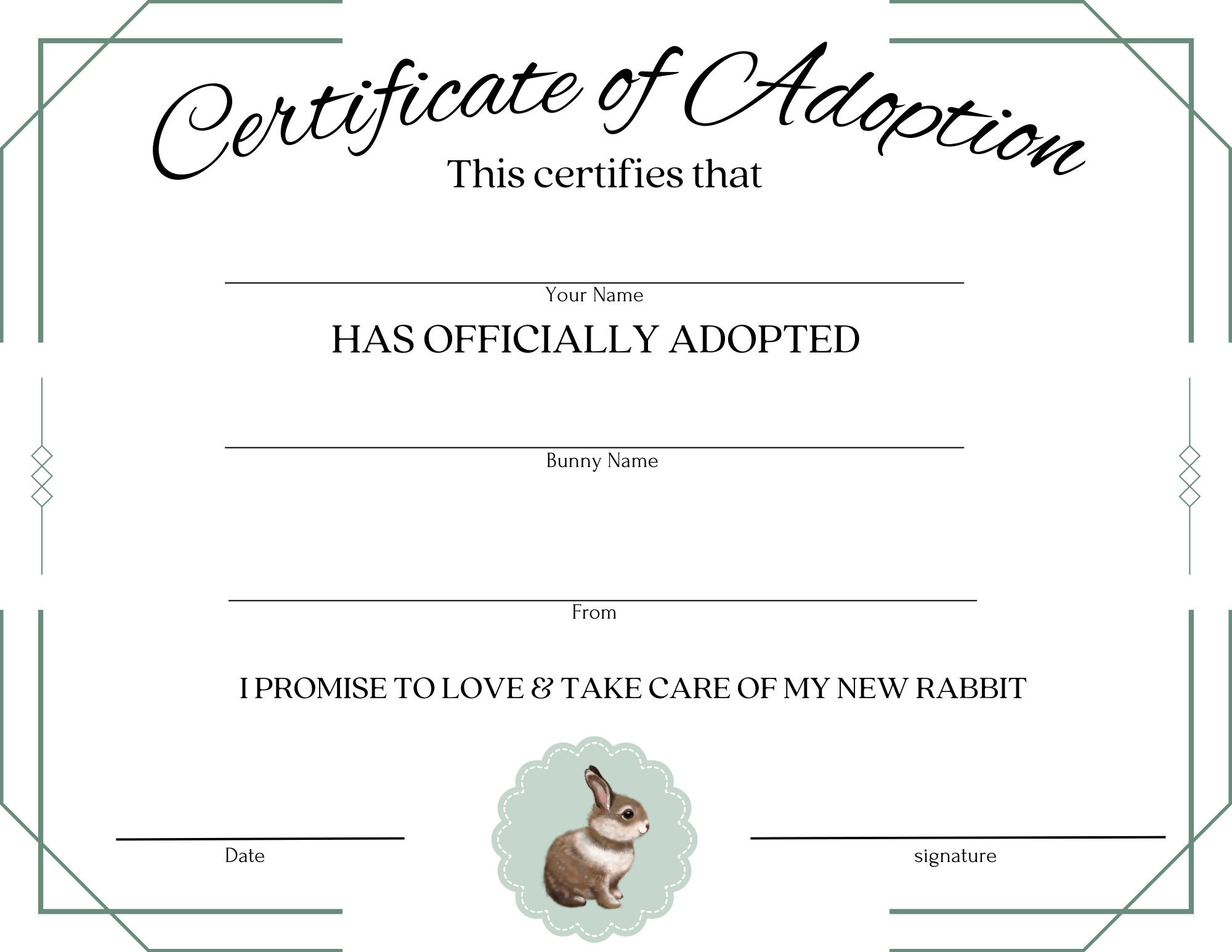 Rabbit Adoption Certificate Pet Rabbit Document Printable Letter Sized ...