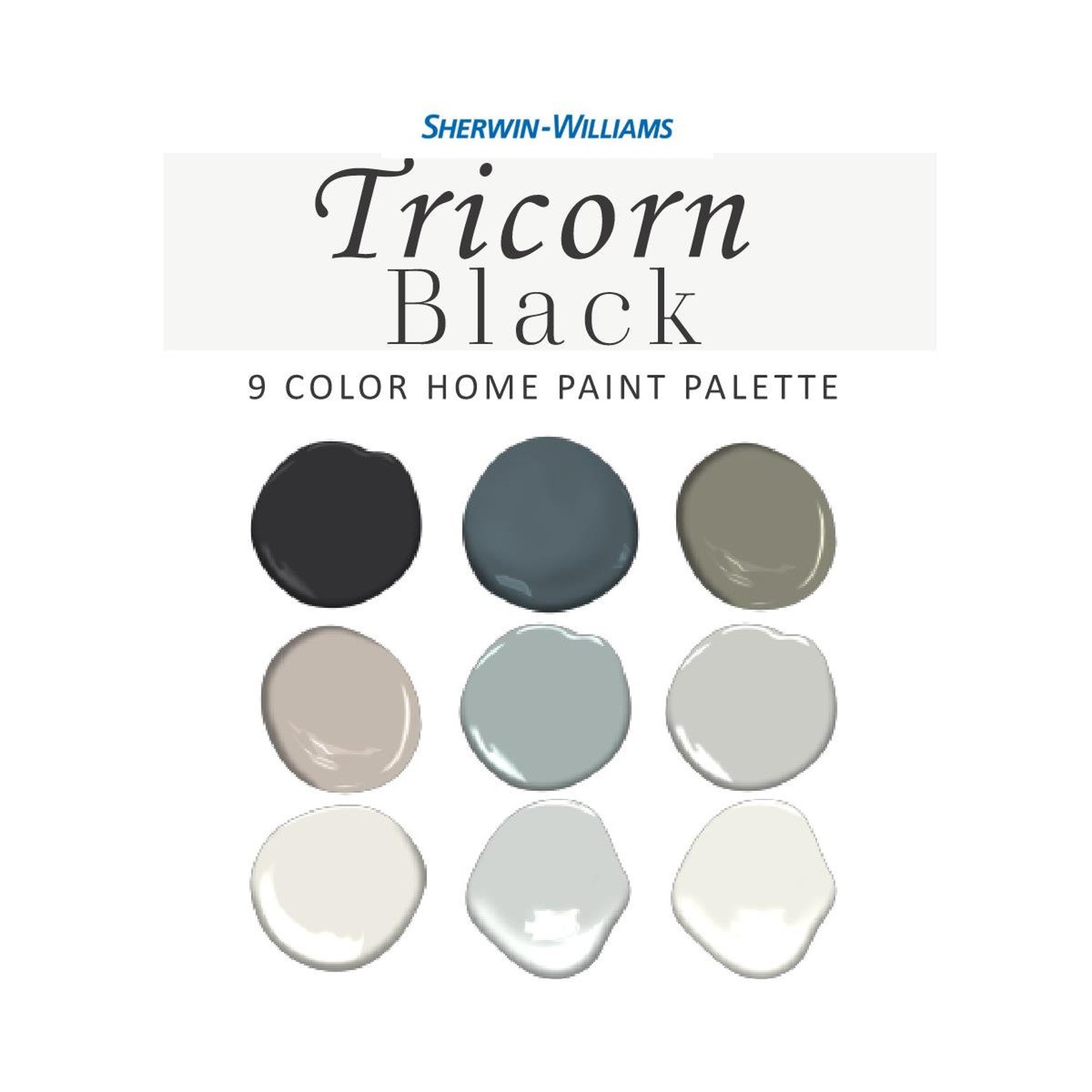 Sherwin Williams Tricorn Black Paint Color Palette, Tricorn Black Front ...