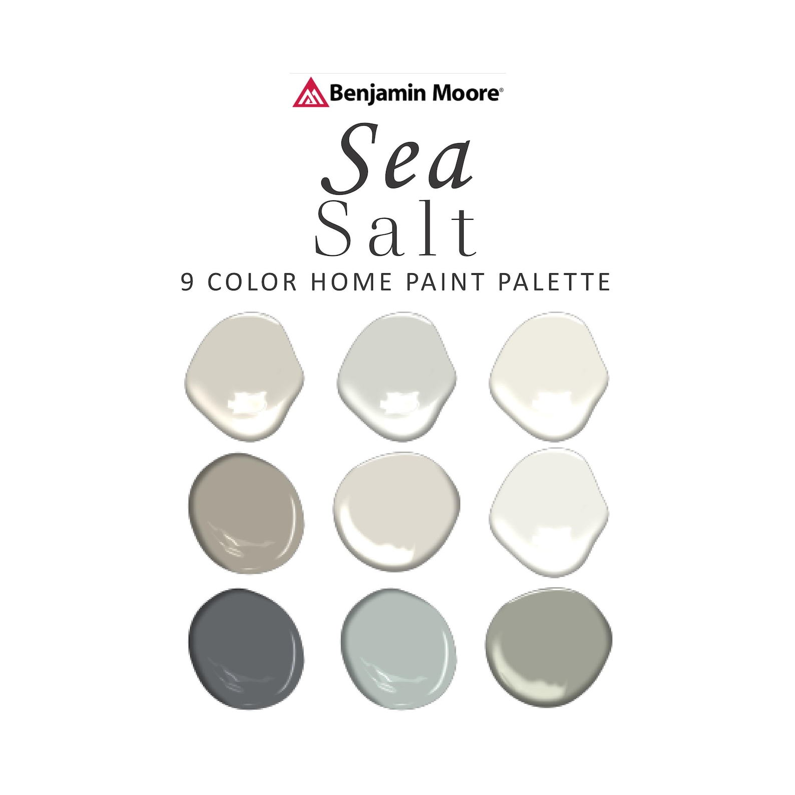 Benjamin Moore Sea Salt Paint Color Palette, Best Neutral Bedroom ...
