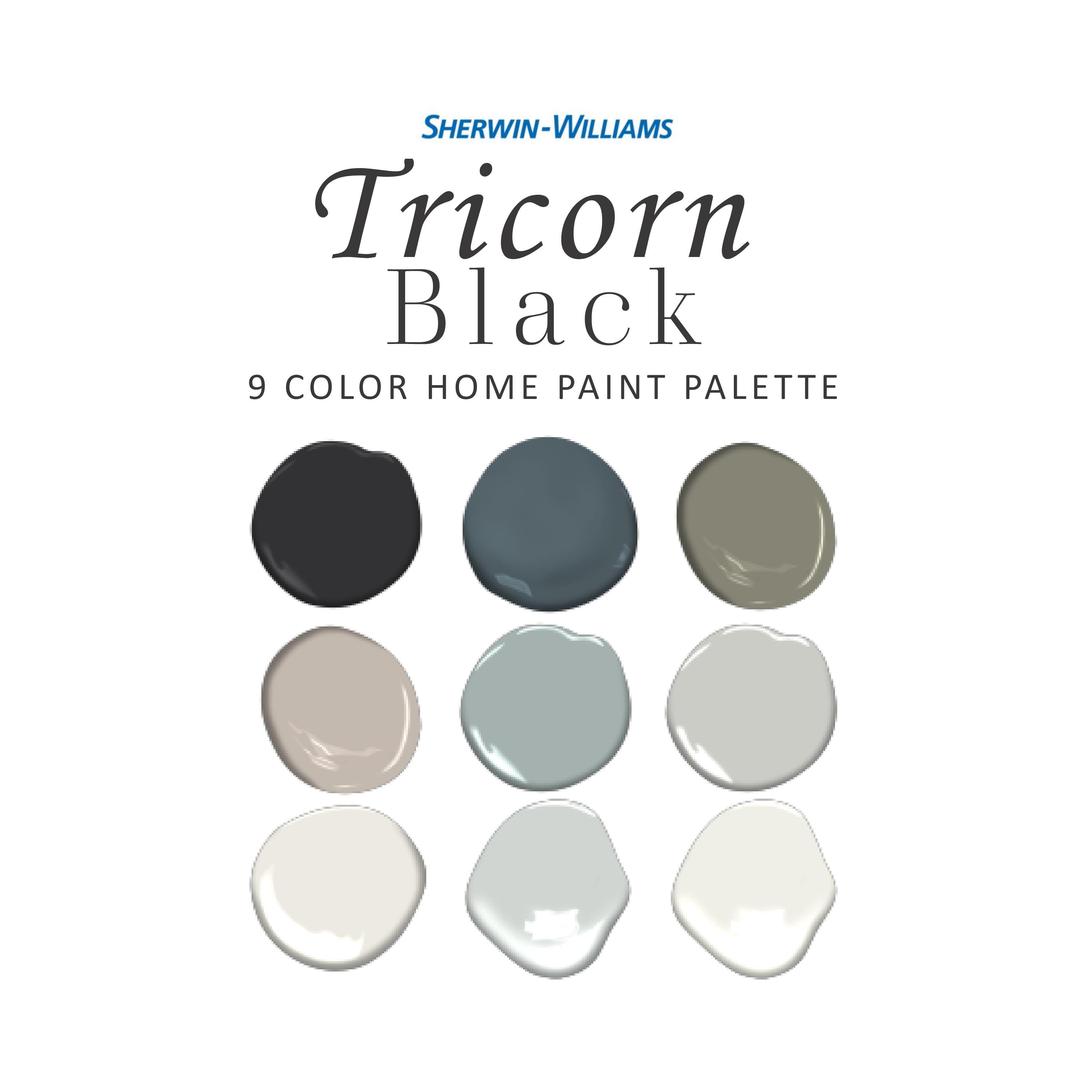 Sherwin Williams Paint Colors Online 2024 Paint Colors - Dory Nanice Sherwin Williams Paint Colors Online 2024 Paint Colors - Dory Nanice