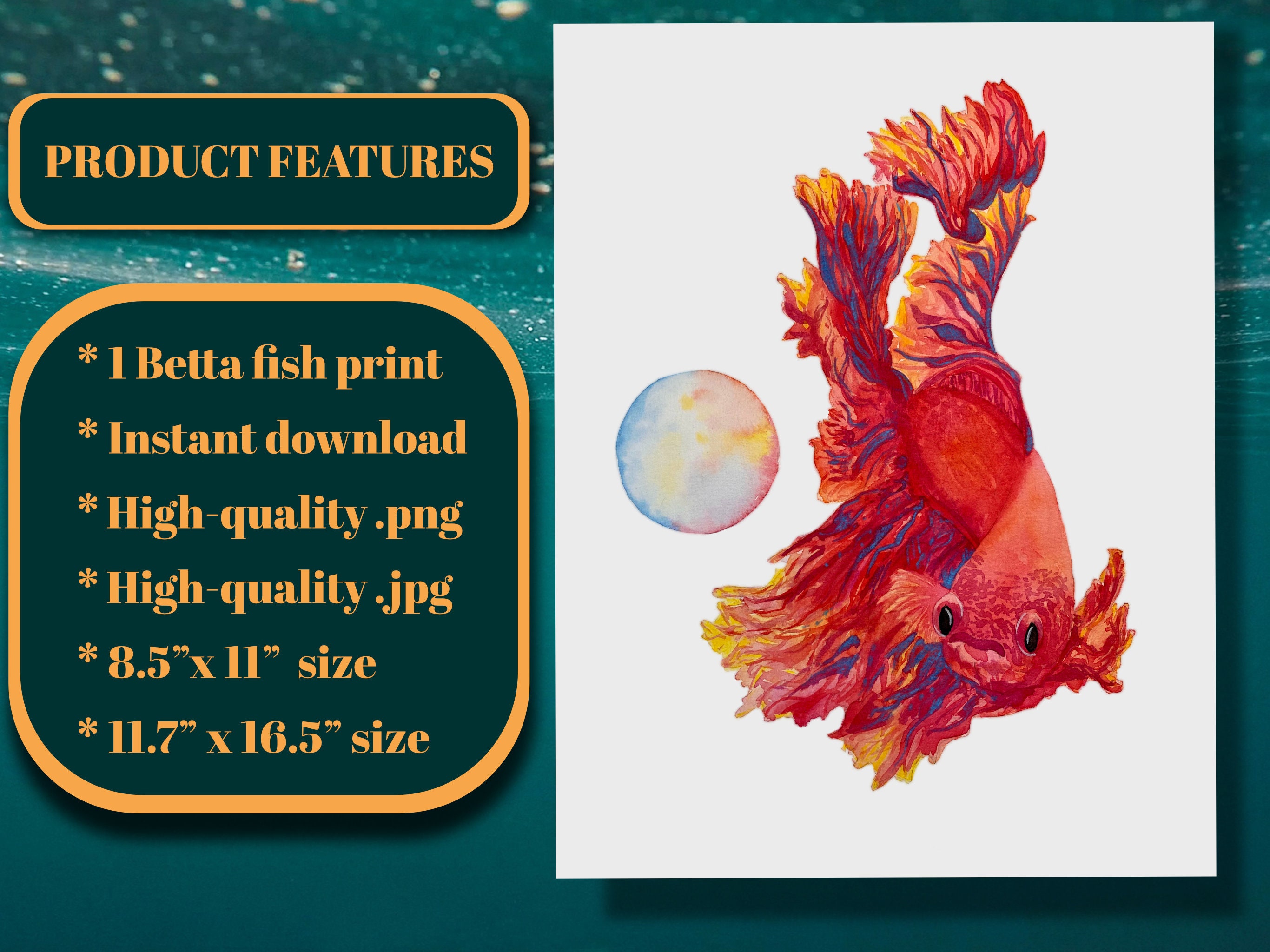 Betta Fish, Printable Download. Printable Art. Hand Made Watercolor ...