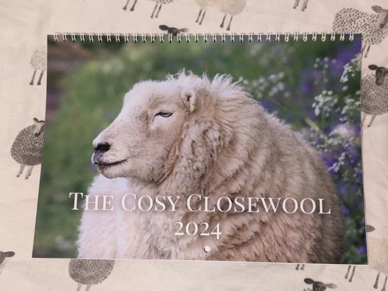 The Cosy Closewool 2024 Calendar Sheep Calendar A4 Double - Etsy
