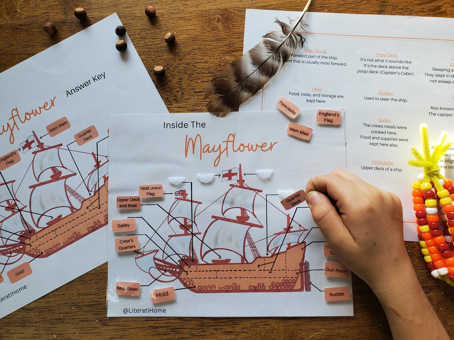 Thanksgiving History, Mayflower and Pilgrims Learning Activity ...