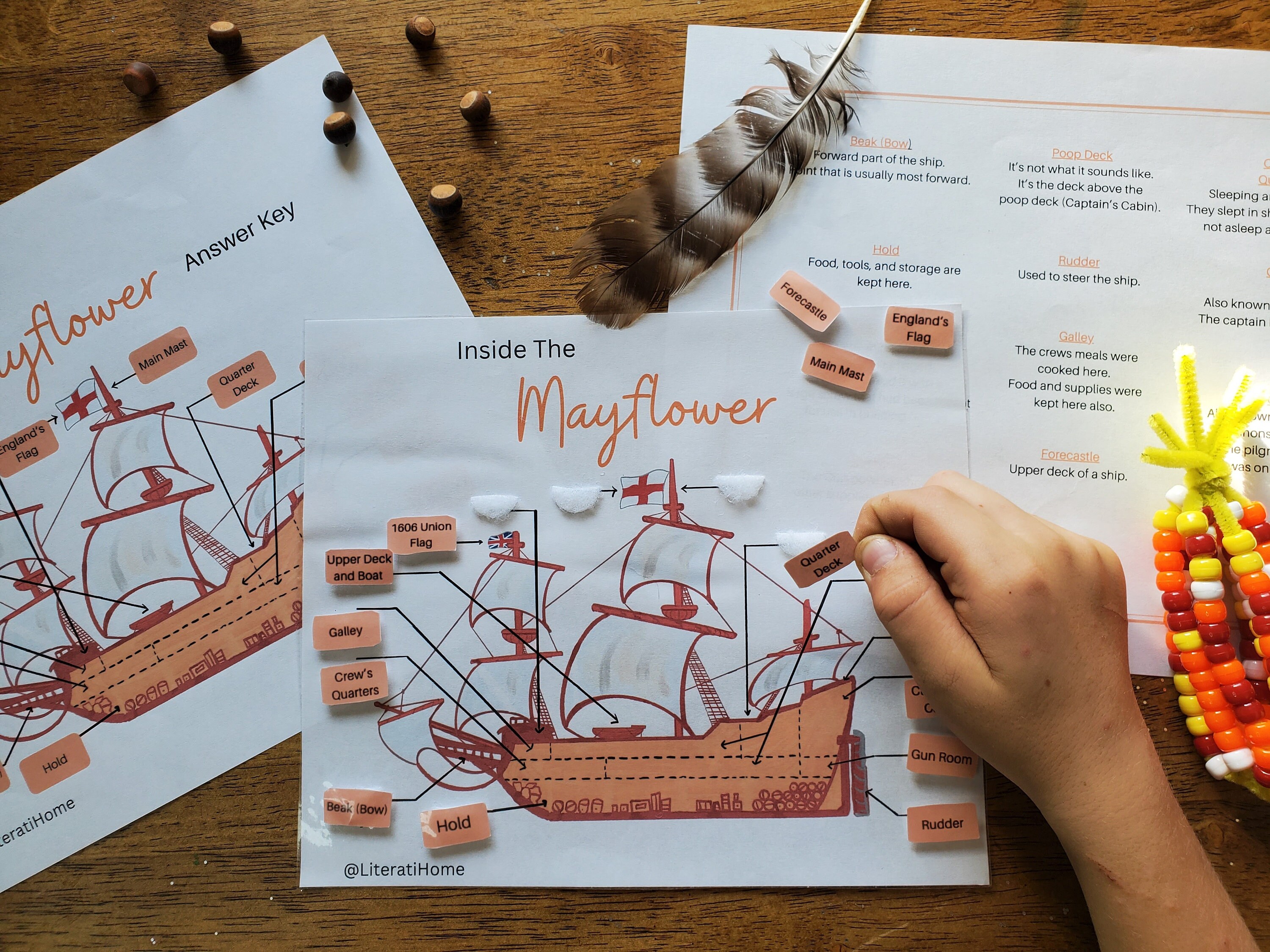 Thanksgiving History, Mayflower and Pilgrims Learning Activity ...