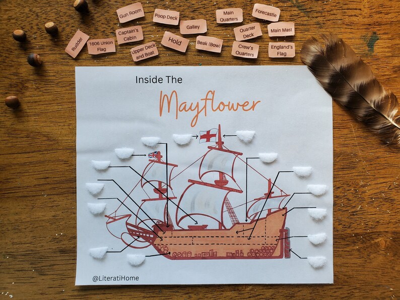 Thanksgiving History, Mayflower and Pilgrims Learning Activity ...