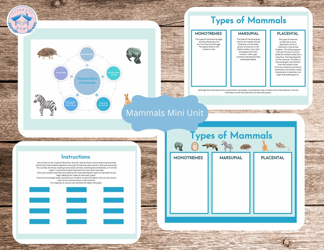 Mini Mammals Unit Study-science and Nature Study for Homeschool - Etsy