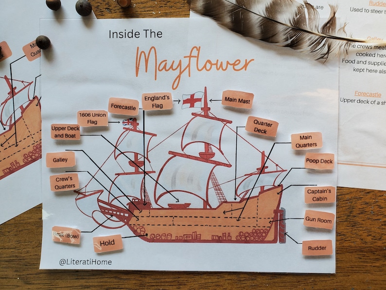 Thanksgiving History, Mayflower and Pilgrims Learning Activity ...