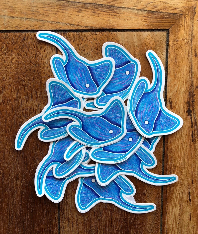 Stingray Sticker, Vinyl Sticker, Car Decal, Laptop Decal, Water Bottle ...