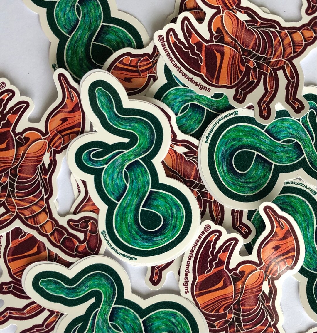 Snake & Scorpion Desert Sticker Bundle: Vinyl Decals - Etsy