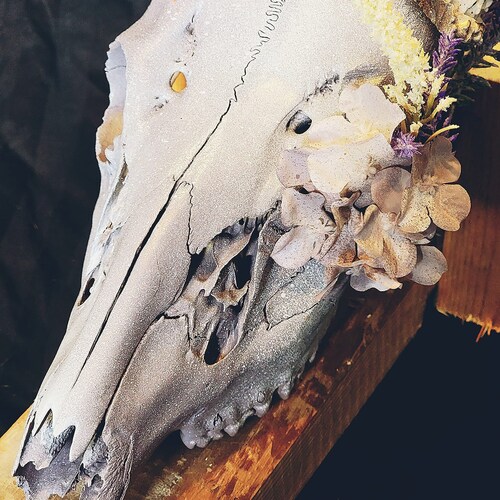 FeralBoneLady - Etsy