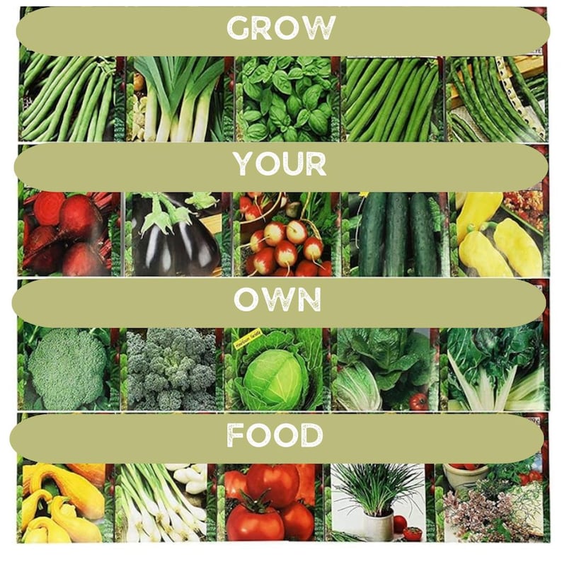 24 Non-gmo Fruits and Vegetables Survival Seeds Variety Pack- Grow Your ...