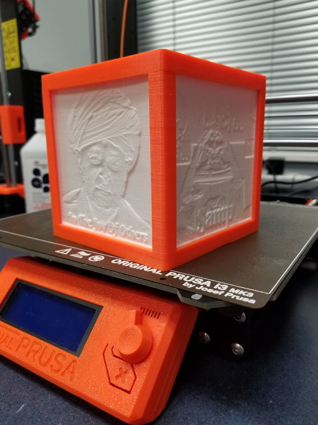 3D Printed Lithophane Picture Panels for Lamps - Does Not Include Lamp ...