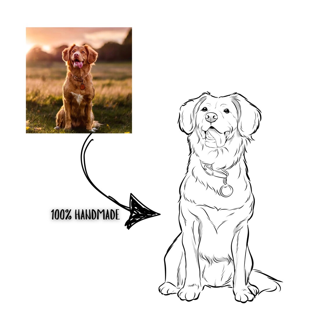 Custom Line Drawing/custom Pet Outline Drawing/pet Sketch From Photo ...