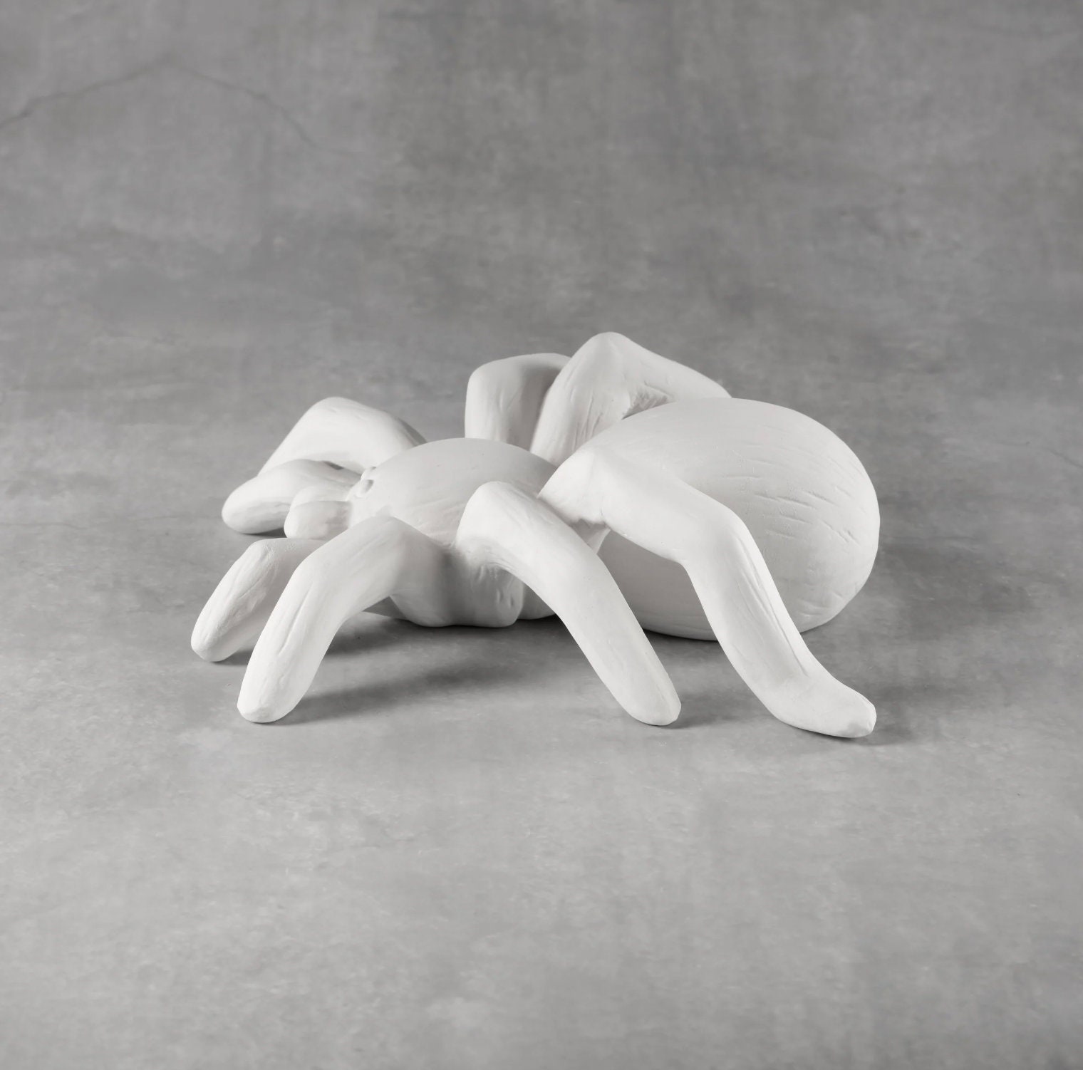 Tarantula Unpainted Ceramic Bisque Gift, Paint It Yourself, Paint Your Own Pottery - Etsy