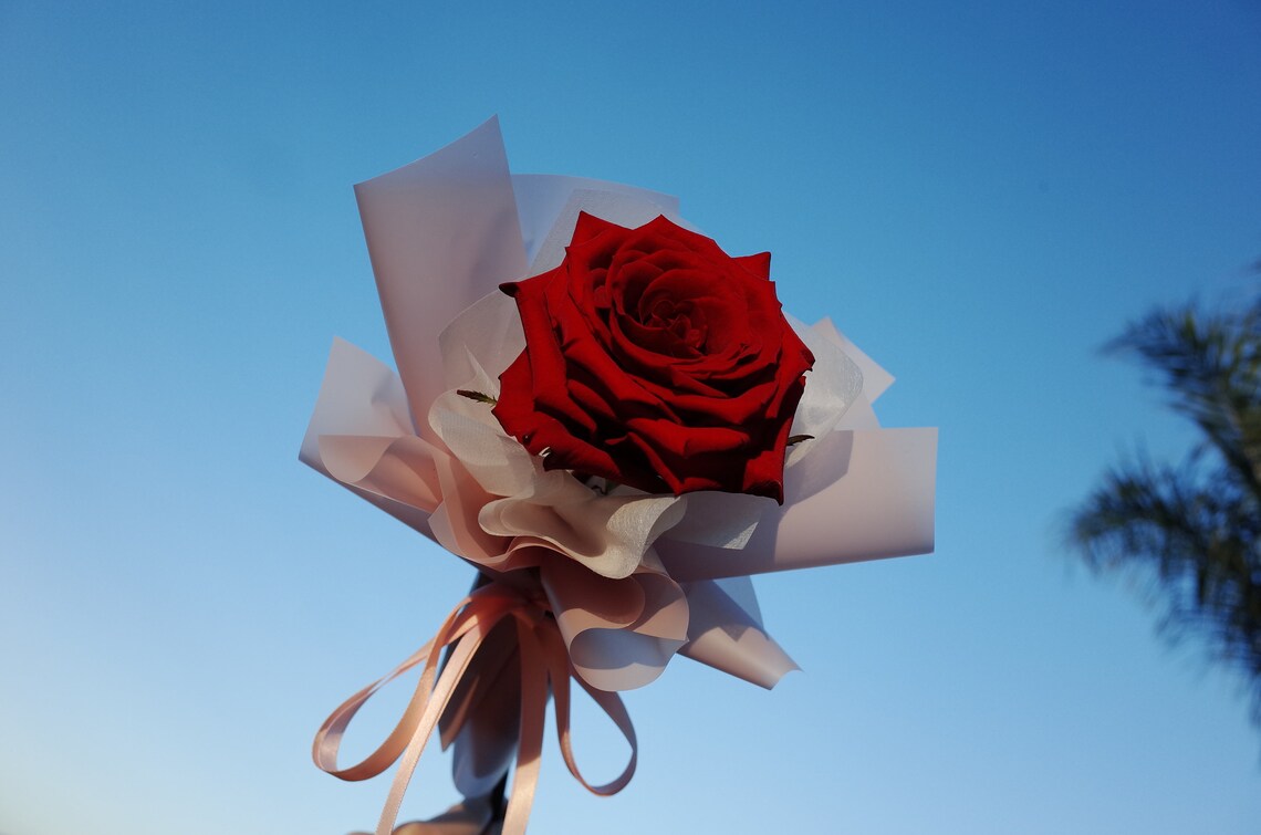 Preserved Red Single Rose Bouquet Which Can Last at Least 3 Years the ...